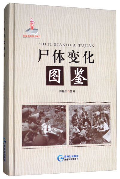 尸体变化图鉴陈禄仕贵州553206004