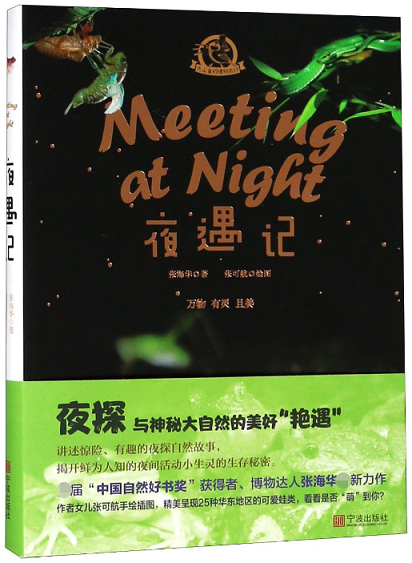 夜遇记