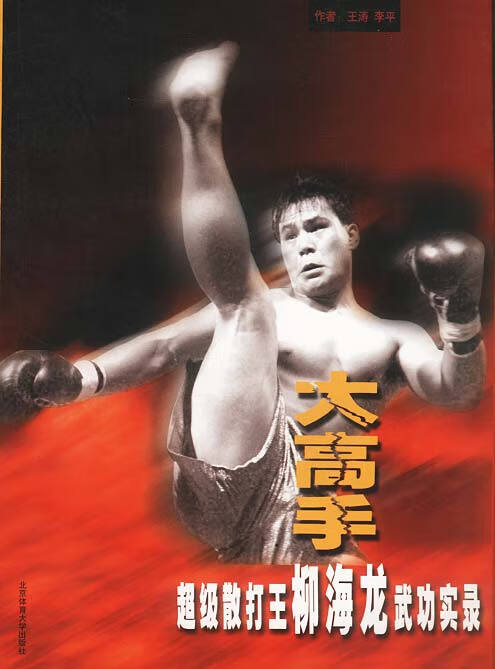 大高手:超级散打王柳海龙武功实录 王涛,李平 编著