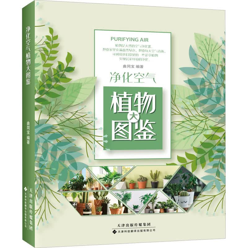 净化空气植物大图鉴