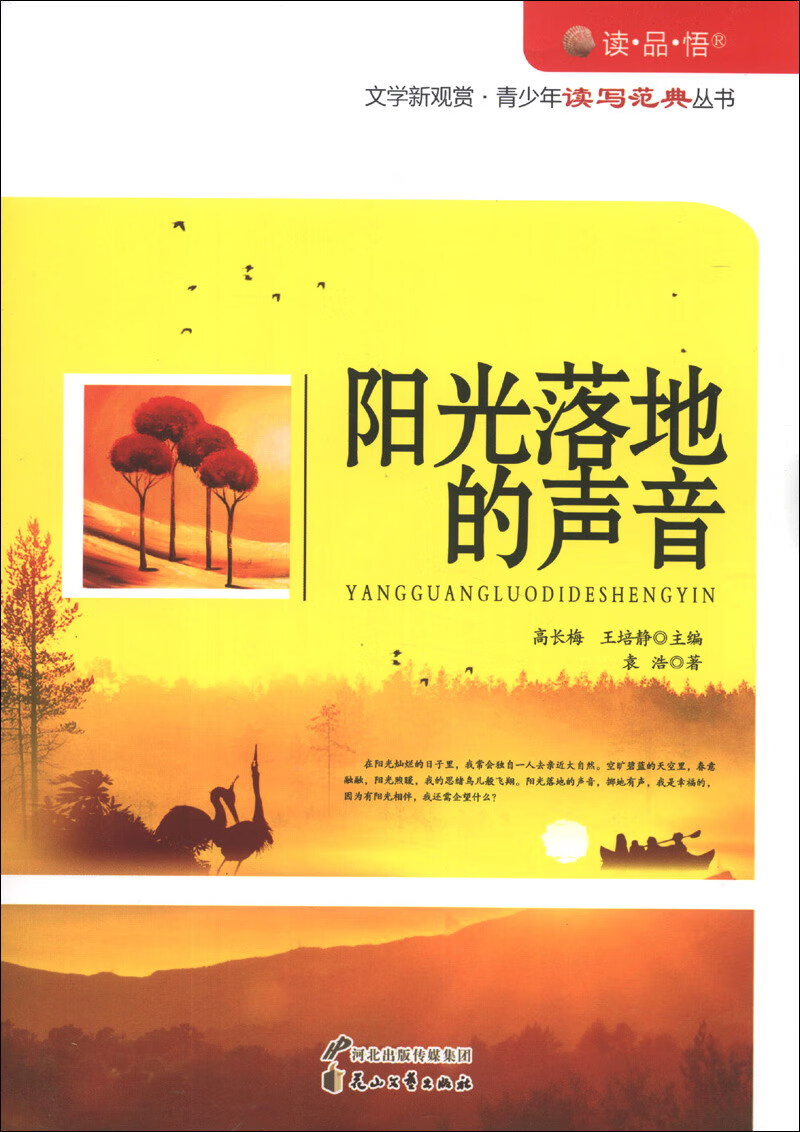 阳光落地的声音【好书】
