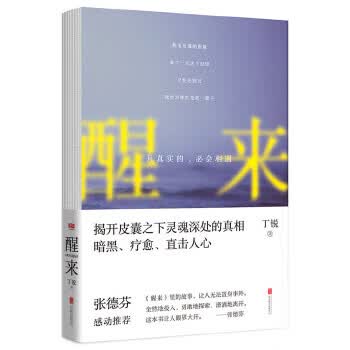 醒来:凡真实的，必会相遇 丁锐【书】