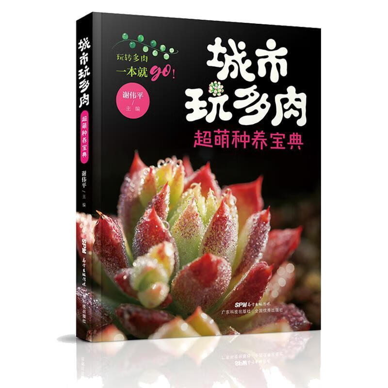 城市玩多肉：超萌种养宝典