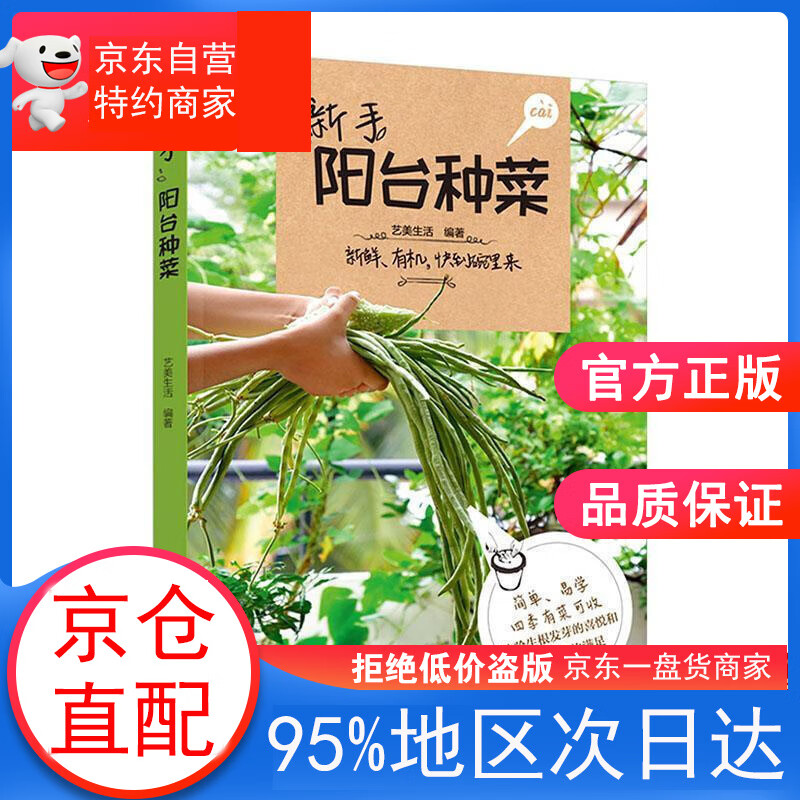 新手阳台种菜