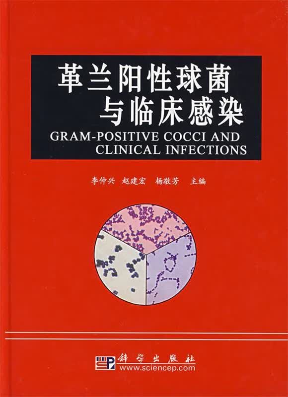 革兰阳性球菌与临床感染