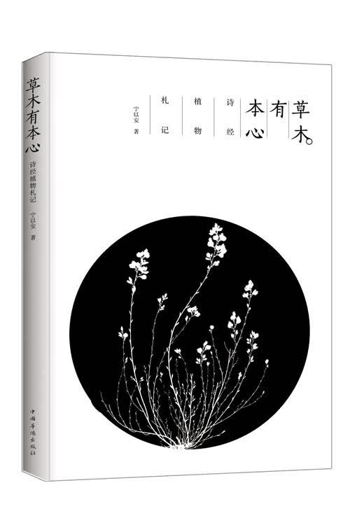 草木有本心 宁以安 著