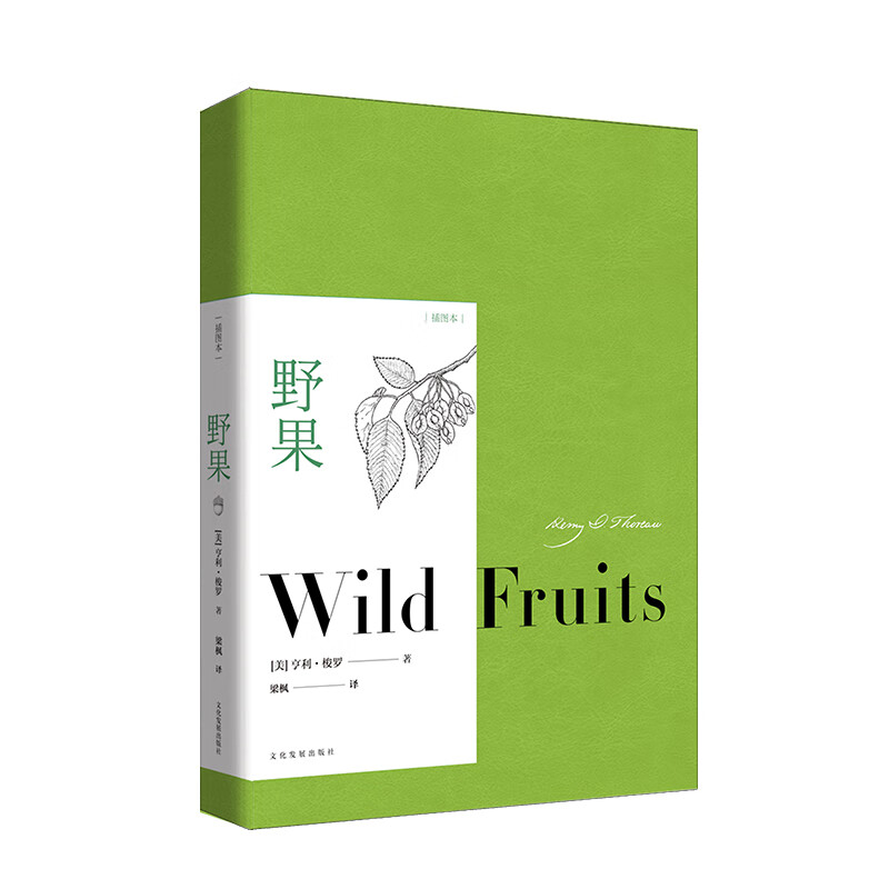 野果