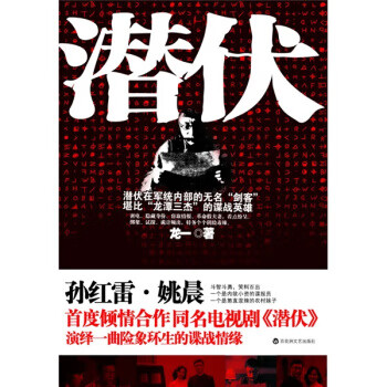 潜伏 龙一 著【书】