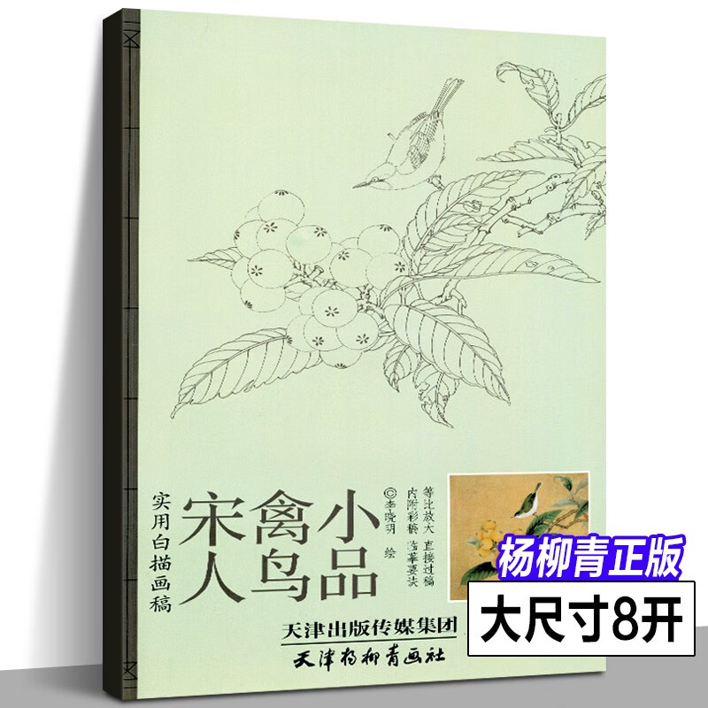 【杨柳青】宋人禽鸟小品 实用白描画稿放大版李晓明绘 工笔禽鸟画技法步骤详解国画工笔花鸟画底稿