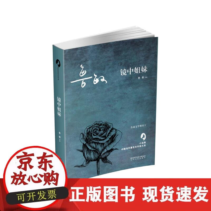 【现货】镜中姐妹