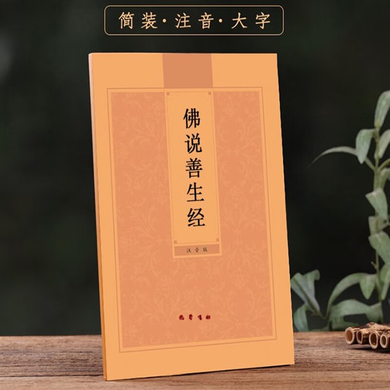 佛说善生经弘化常诵佛经系列—简体拼音版巴蜀书社版