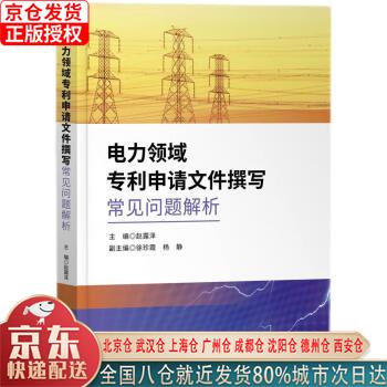 【新华全新书籍】电力领域专利申请文件撰写常见问题解析 徐珍霞，杨静 知识产权出版社