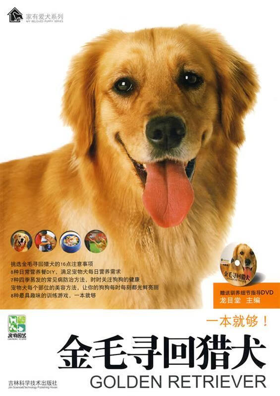 金毛寻回猎犬【，放心购买】