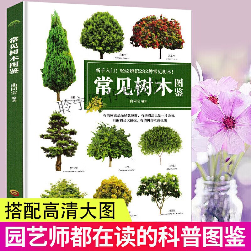 常见树木图鉴 选择辨认常见树木指南书籍 园林植物苗木大全 常见树木品种介绍乔木/灌木/柳杉 植物图鉴植物书