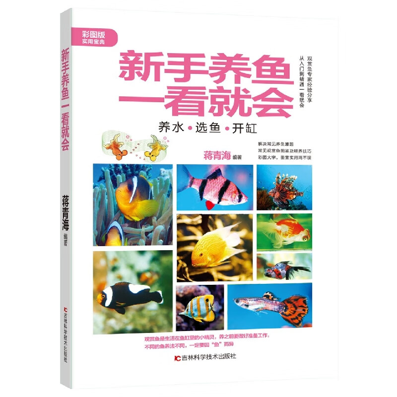 新手养鱼一看就会