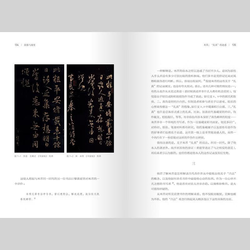 涂抹与速度 谭振飞【书】