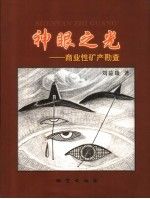 神眼之光:商业性矿产勘查