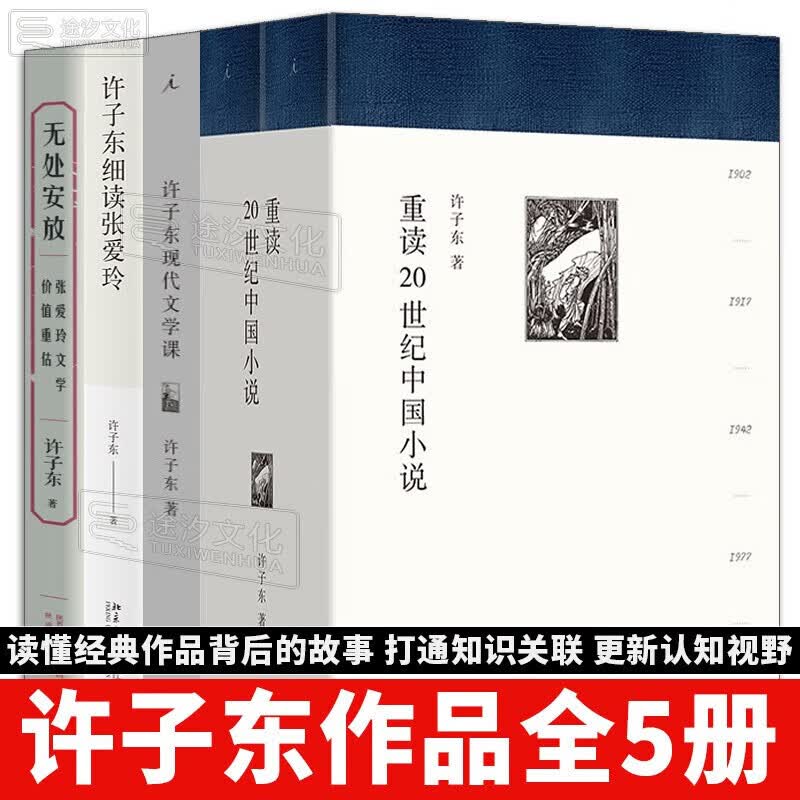 许子东作品集5册 重读20世纪中国小说+许子东现代文学课+许子东细读张爱玲+无处安放 全5册 标准