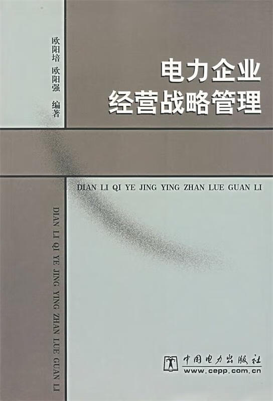 电力企业战略管理