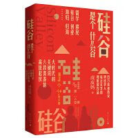 硅谷是个什么谷