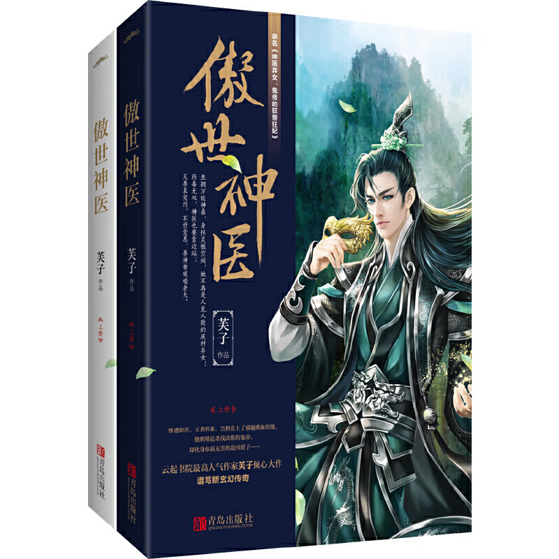 傲世神医（上、下册）