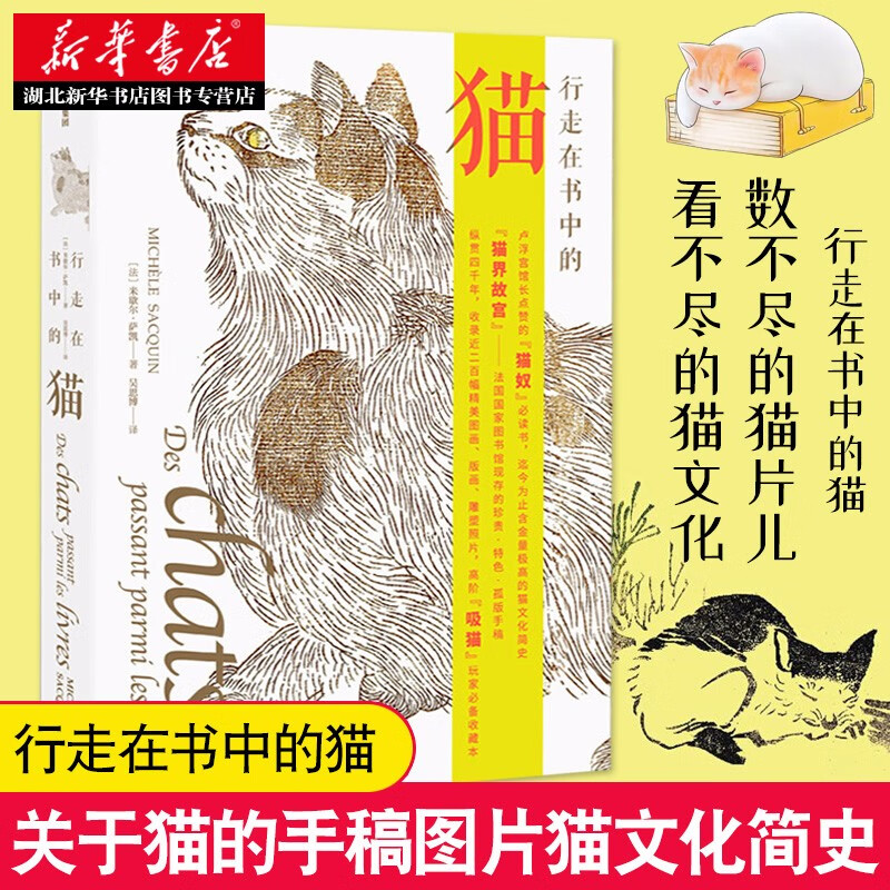 行走在书中的猫 关于猫的绝版手稿图片猫文化简史 猫奴吸猫布偶猫 加菲猫 波斯猫 宠物猫 折耳猫绘画书
