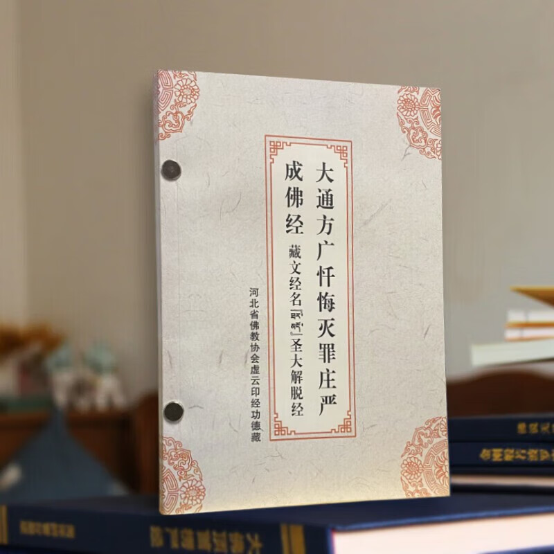 圣大解脱经注音版 32开简装 大通方广忏悔庄严成佛简体拼音大字版 【单本+书袋】