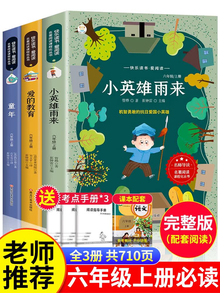 六年级必读的课外书 爱的小英雄雨来童年书全套3册高尔基原著完整版生课外老师推荐快乐读书吧书目6上册 快乐读书吧六年级上 全3册 （710页完整版）