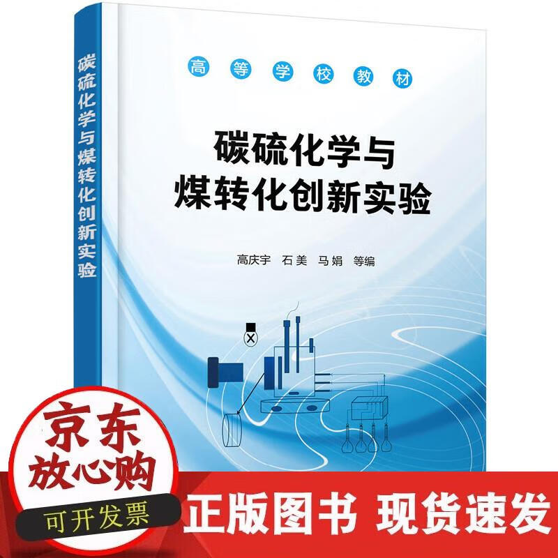 【现货】碳硫化学与煤转化创新实验(高庆宇)