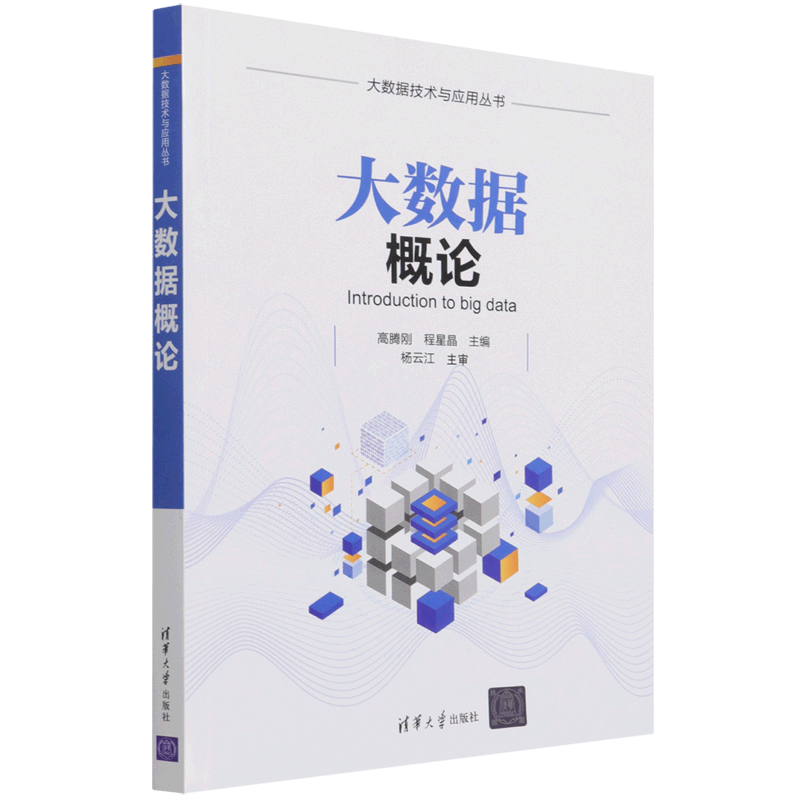 大数据概论/大数据技术与应用丛书