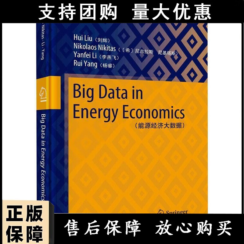 能源经济大数据刘辉科学出版社