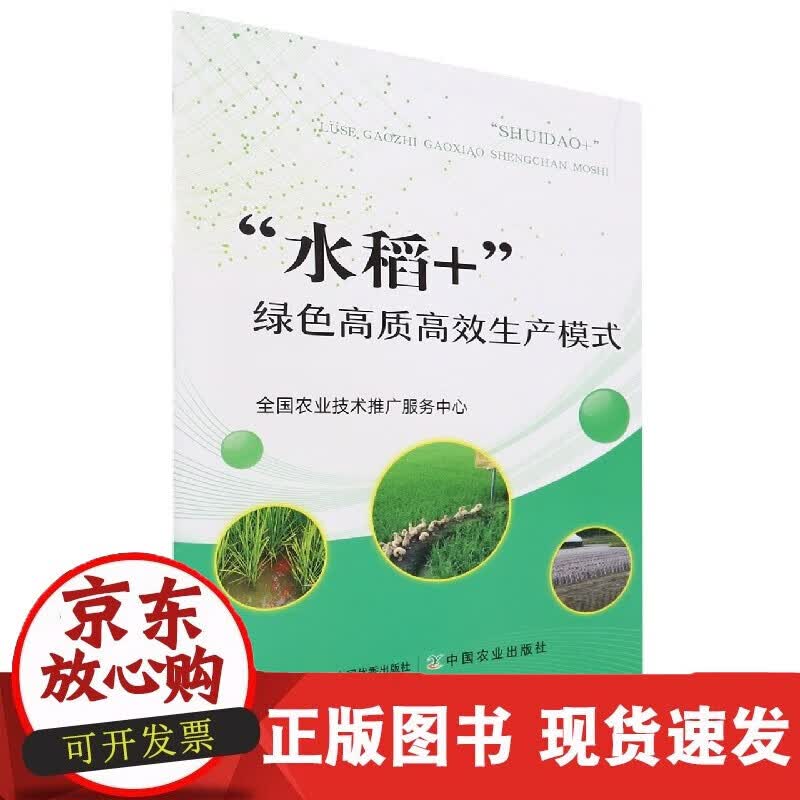 速发 “水稻+”绿色高质高效生产模式