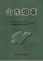 山东烟