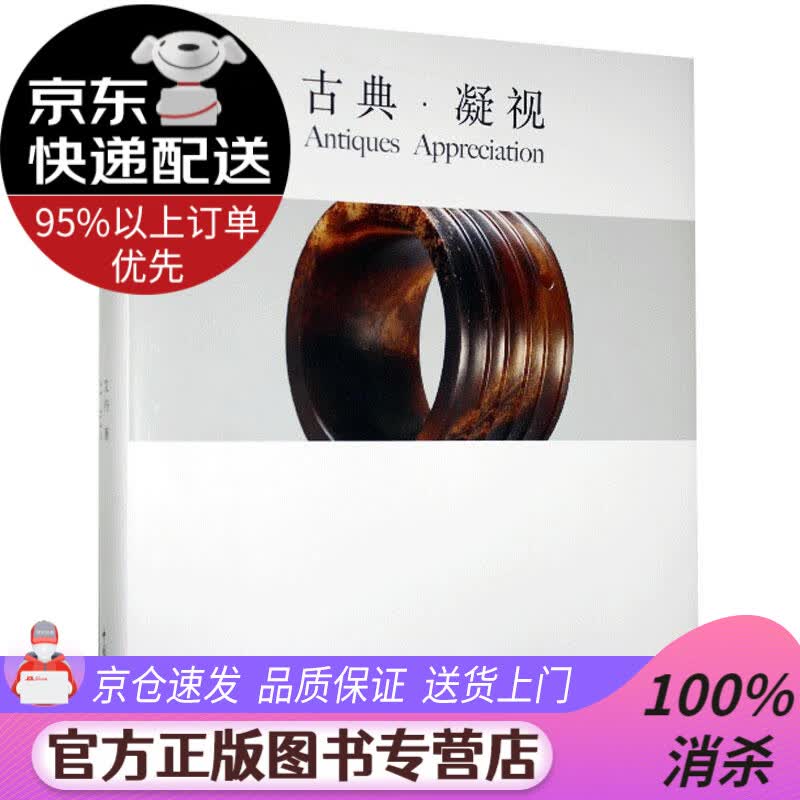 古典·凝视 艾丹 中国青年出版社