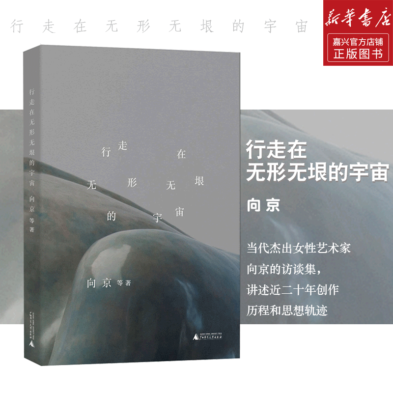 现货 行走在无形无垠的宇宙 当代杰出女性艺术家向京的访谈集 讲述近二十年创作历程和思想轨迹