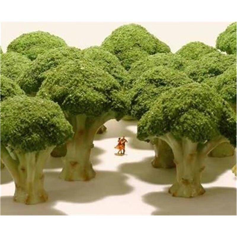 Small Wonders: Life Portrait in Miniature