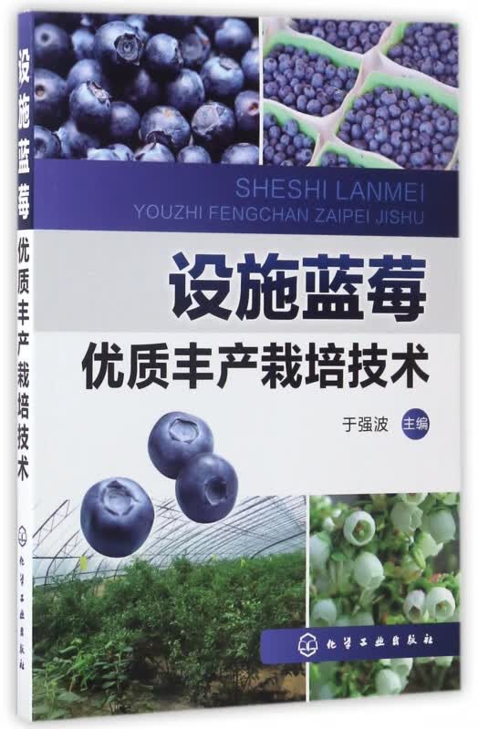 设施蓝莓优质丰产栽培技术