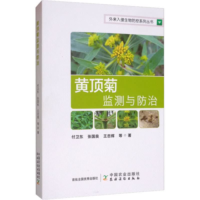 黄顶菊监测与防治