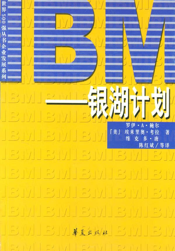 IBM—银湖计划