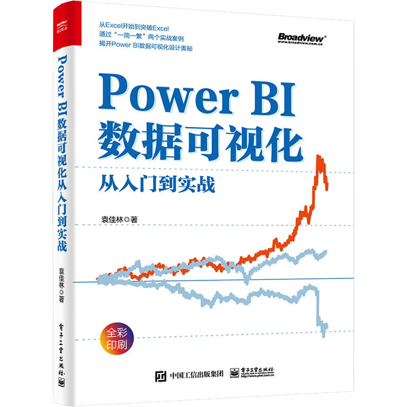 Power BI数据可视化从入门到实战 袁佳林 书籍