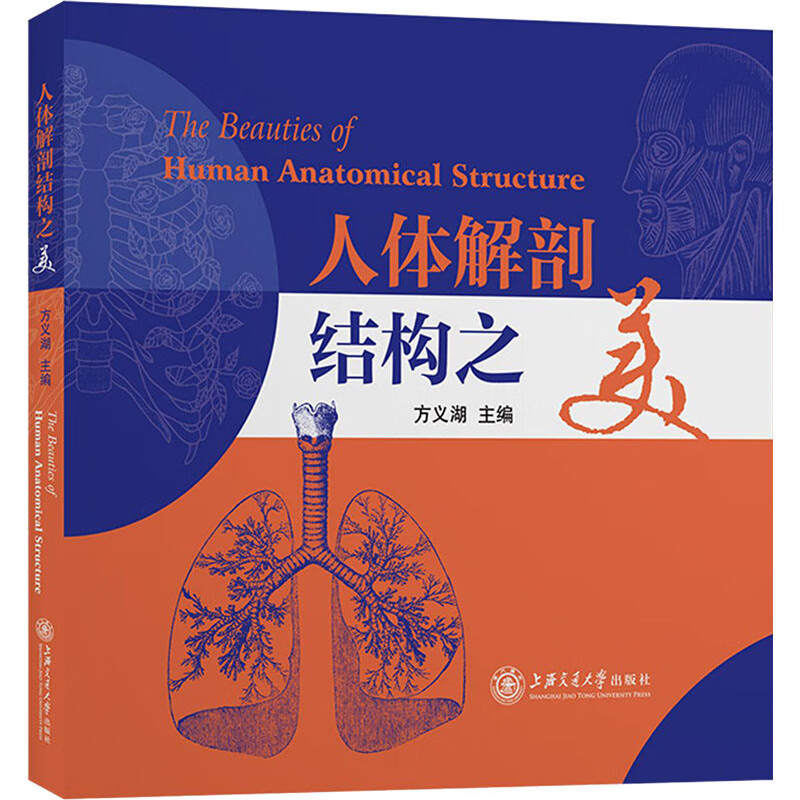 人体解剖结构之美 图书