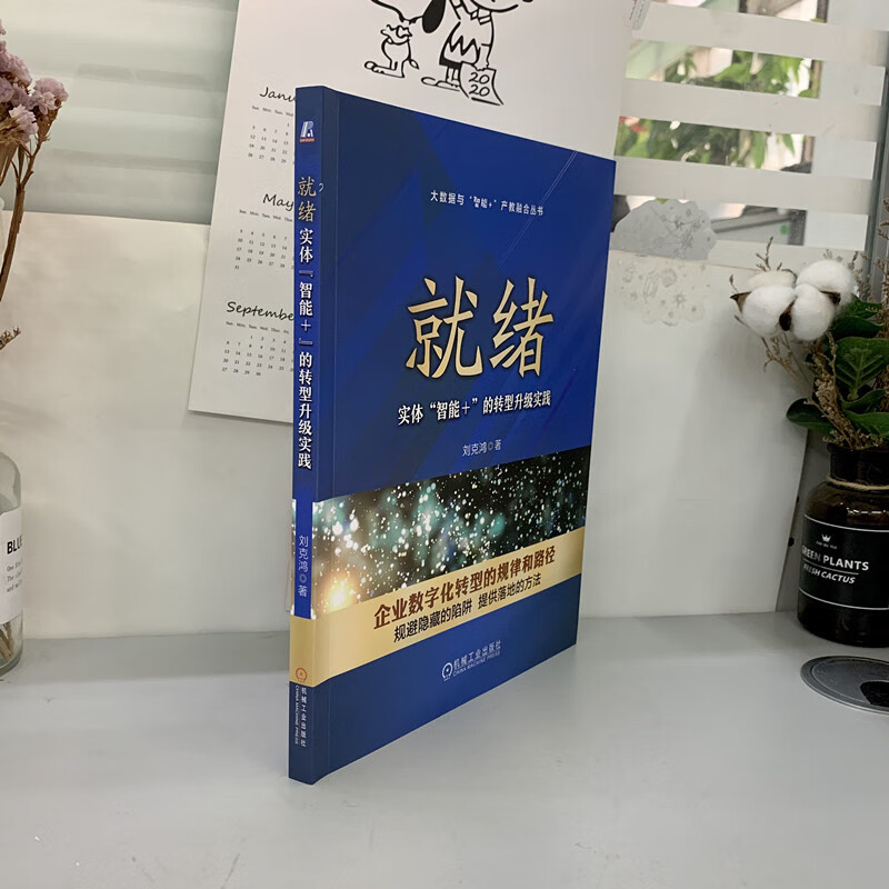 官网 就绪 实体