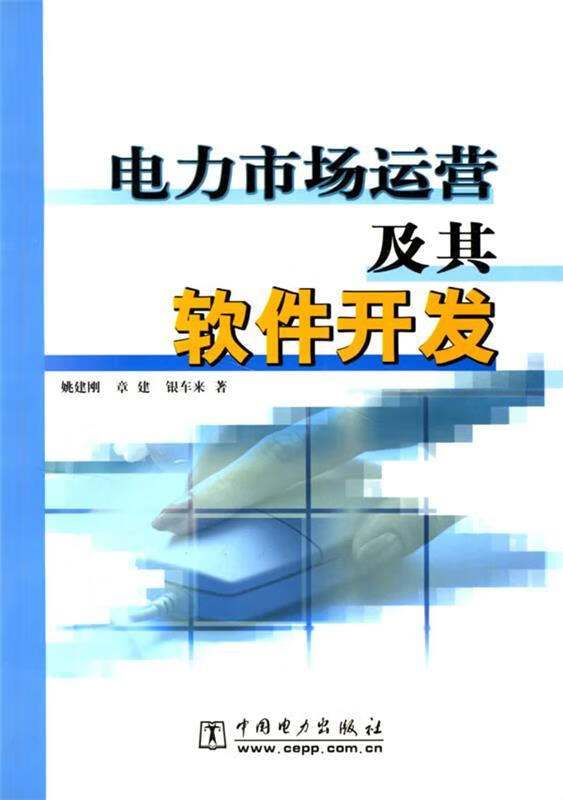电力市场运营及其软件开发