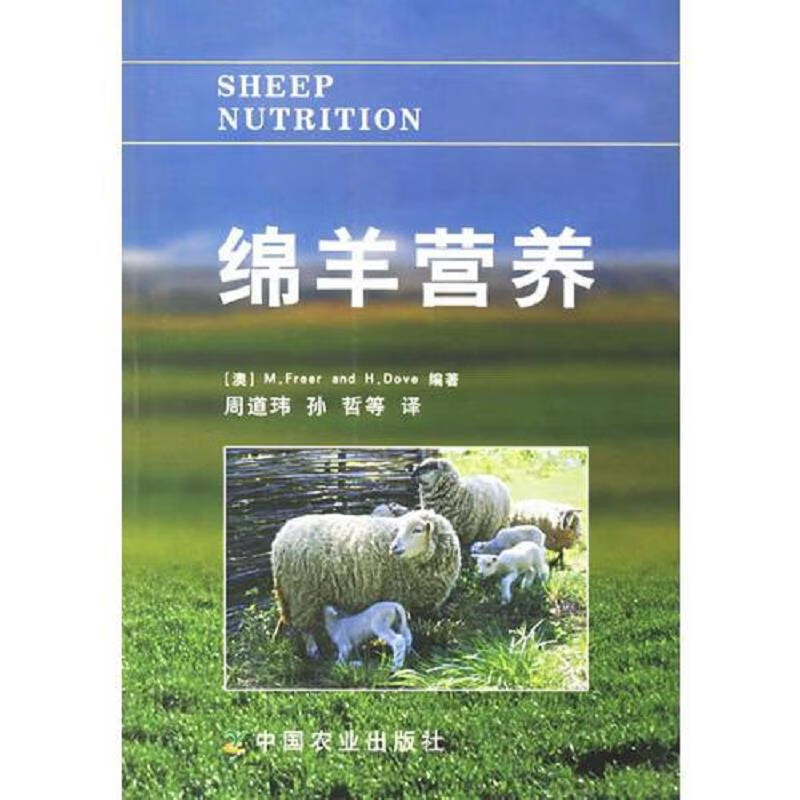 绵羊营养
