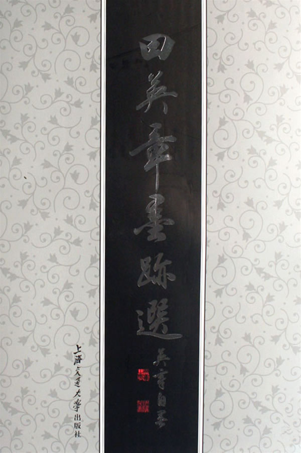 田英章墨迹选 田英章 书
