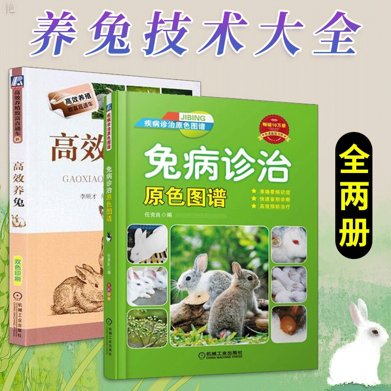 养兔+兔病诊治原色图谱 养兔子书籍 兔子养殖技术大全书 2本