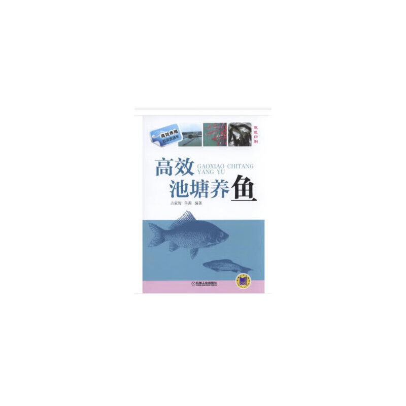 高效池塘养鱼