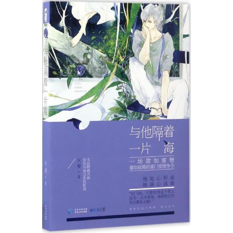与他隔着一片海 天爱