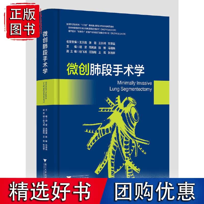 微创肺段手术学