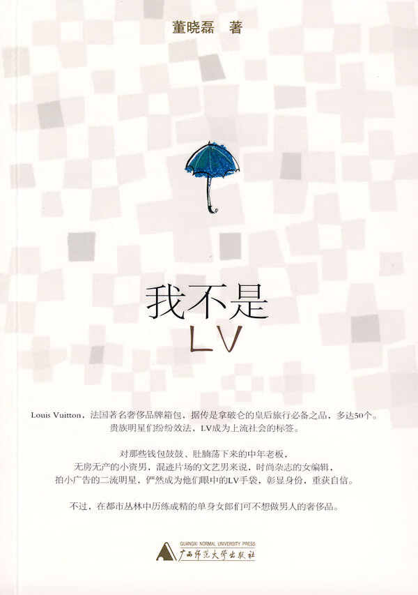 我不是LV 董晓磊 著【书】